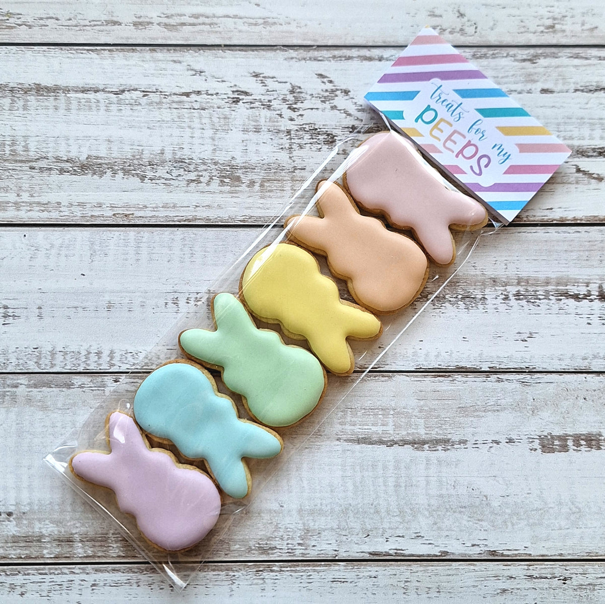 Small Bunny Cutter – Iced